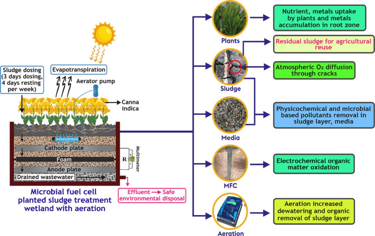 Enhancing sludge treatment efficiency through an innovative approach ...